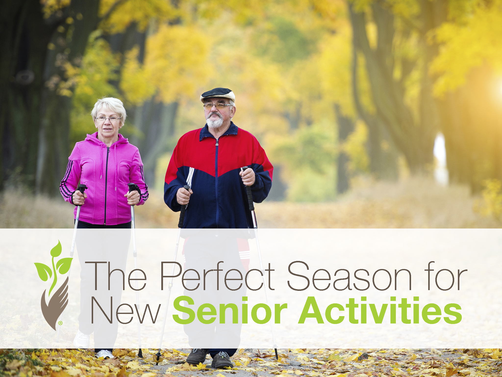 Fall: The Perfect Season for New Senior Activities - Preferred Care at Home