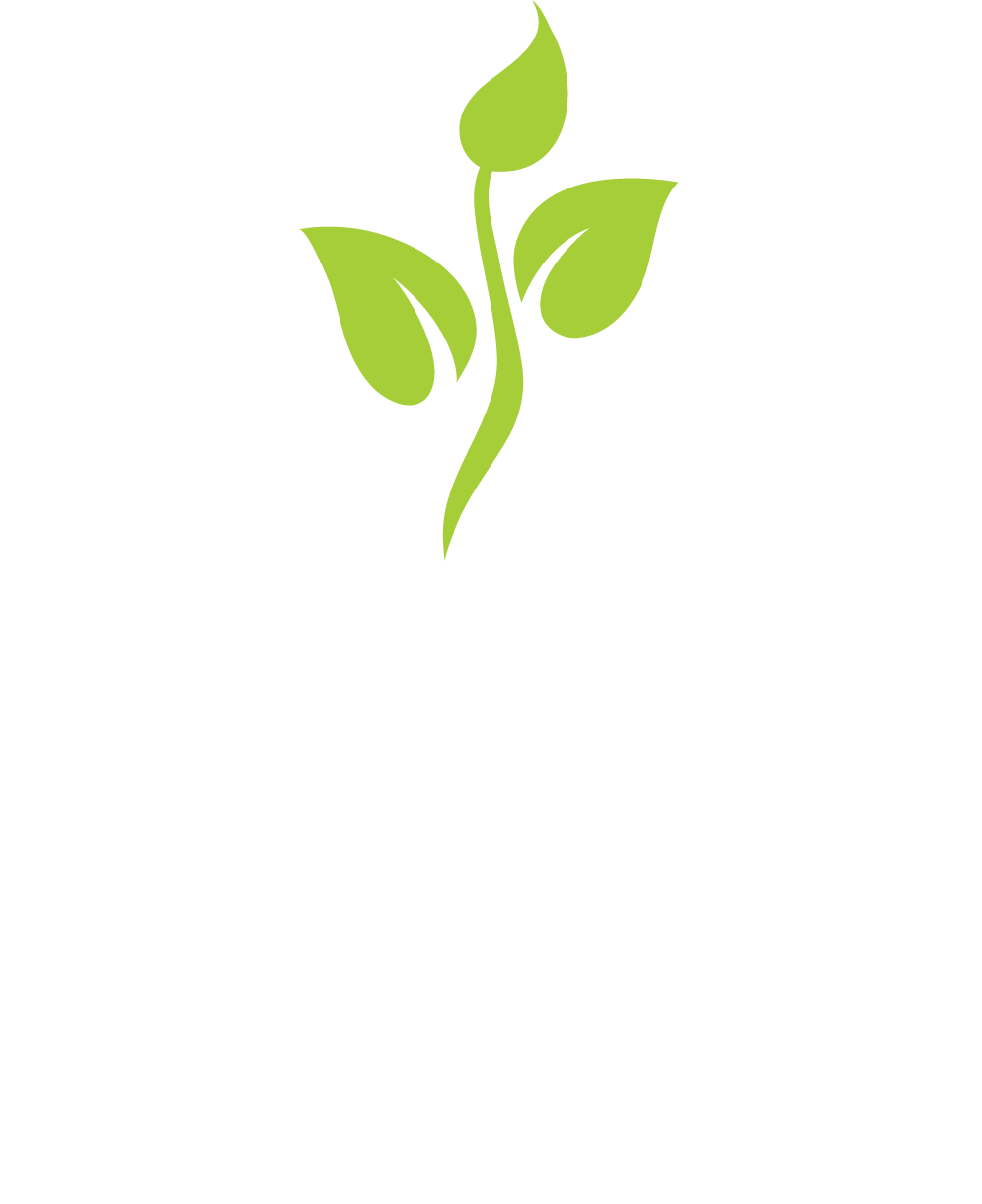 Senior Home Care | In-Home Senior Care | Preferred Care at Home